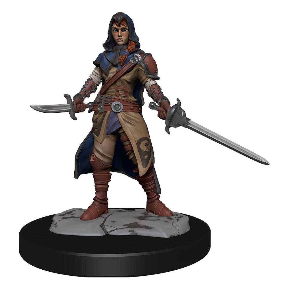 D&D Figur Nolzur Half-Elf Rogue Female Nolzur's Marvelous Miniatures ...