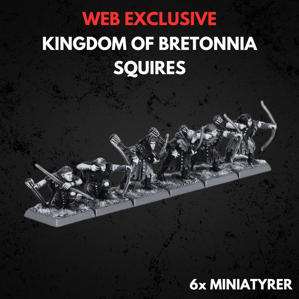 Kingdom of Bretonnia Squires Warhammer The Old World - Gamezone.no