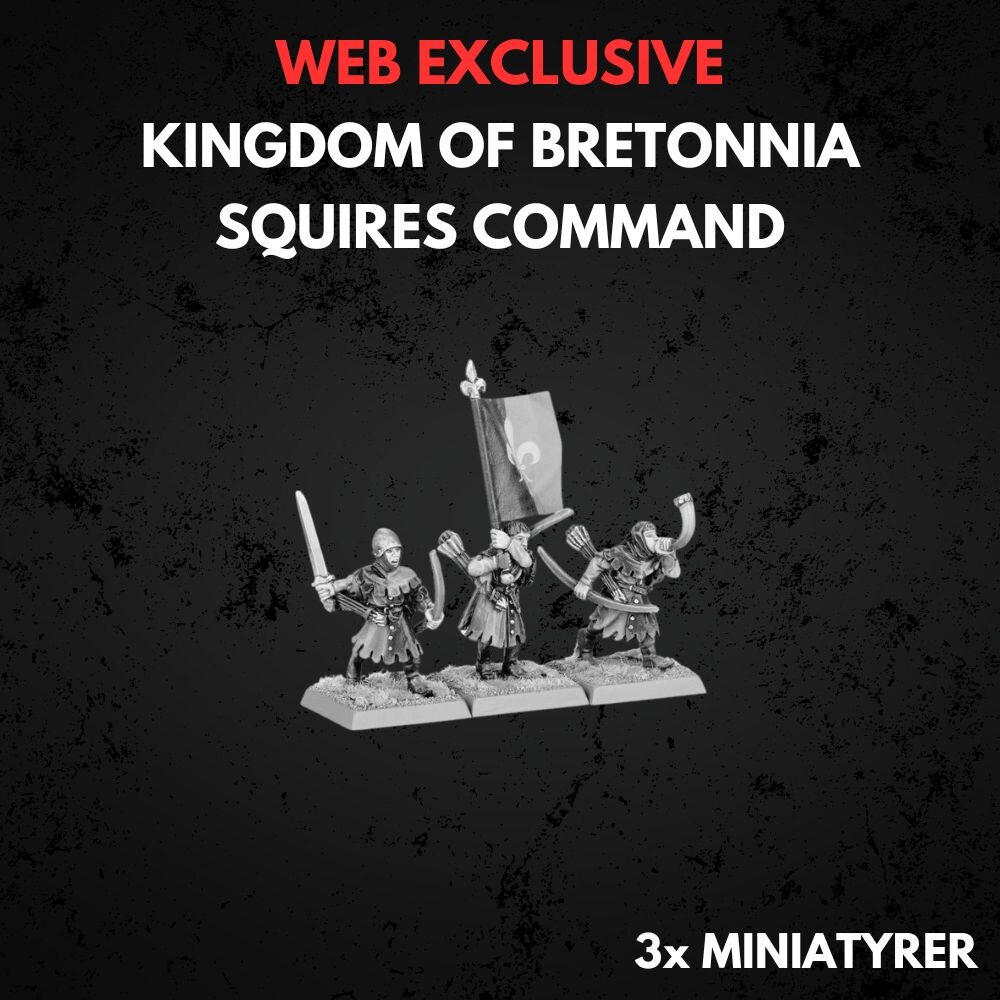 Kingdom of Bretonnia Squires Command Warhammer The Old World - Gamezone.no