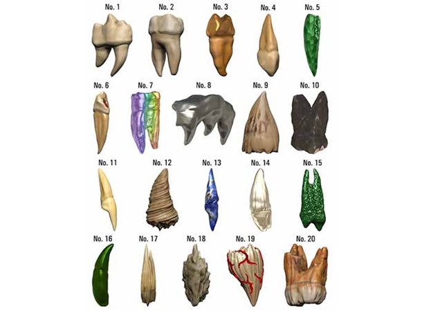 D&D Figur Icons Teeth of Dahlver-Nar Dungeons & Dragons Icons of the ...