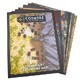 Cosmere RPG Stormlight Map Pack - Gamezone.no